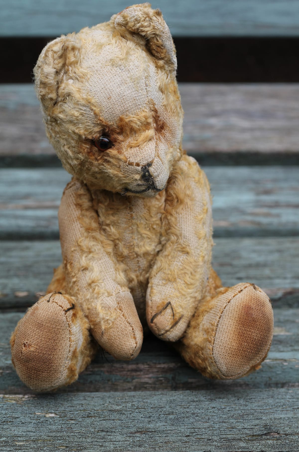 Antique Teddy Bear Identification & Valuation (Rare Finds)
