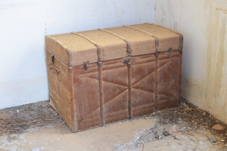 Antique Trunks Identification And Value (Expert Guide)