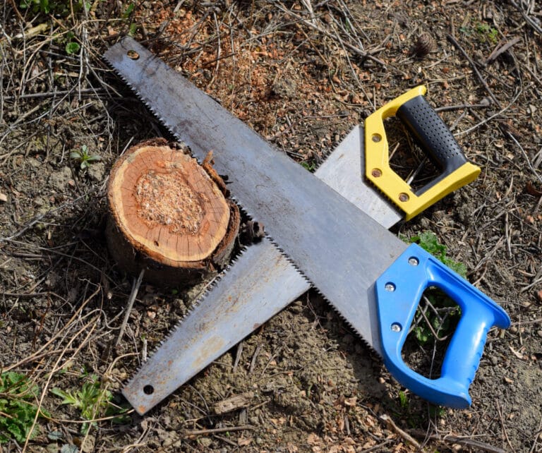 Antique Hand Saw: Value & Identification Guide (With Types)