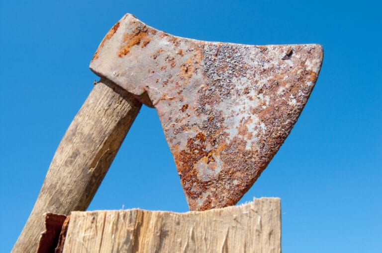 Antique Broad Axes Identification & Value Guide (With Types)