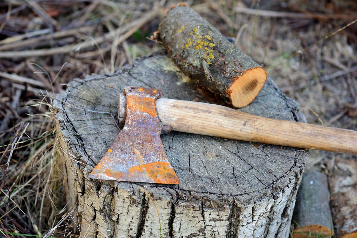 Antique Broad Axes Identification & Value Guide (With Types)