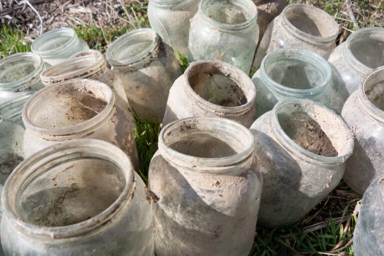 Antique Canning Jars: Identification & Value (Expert Guide)