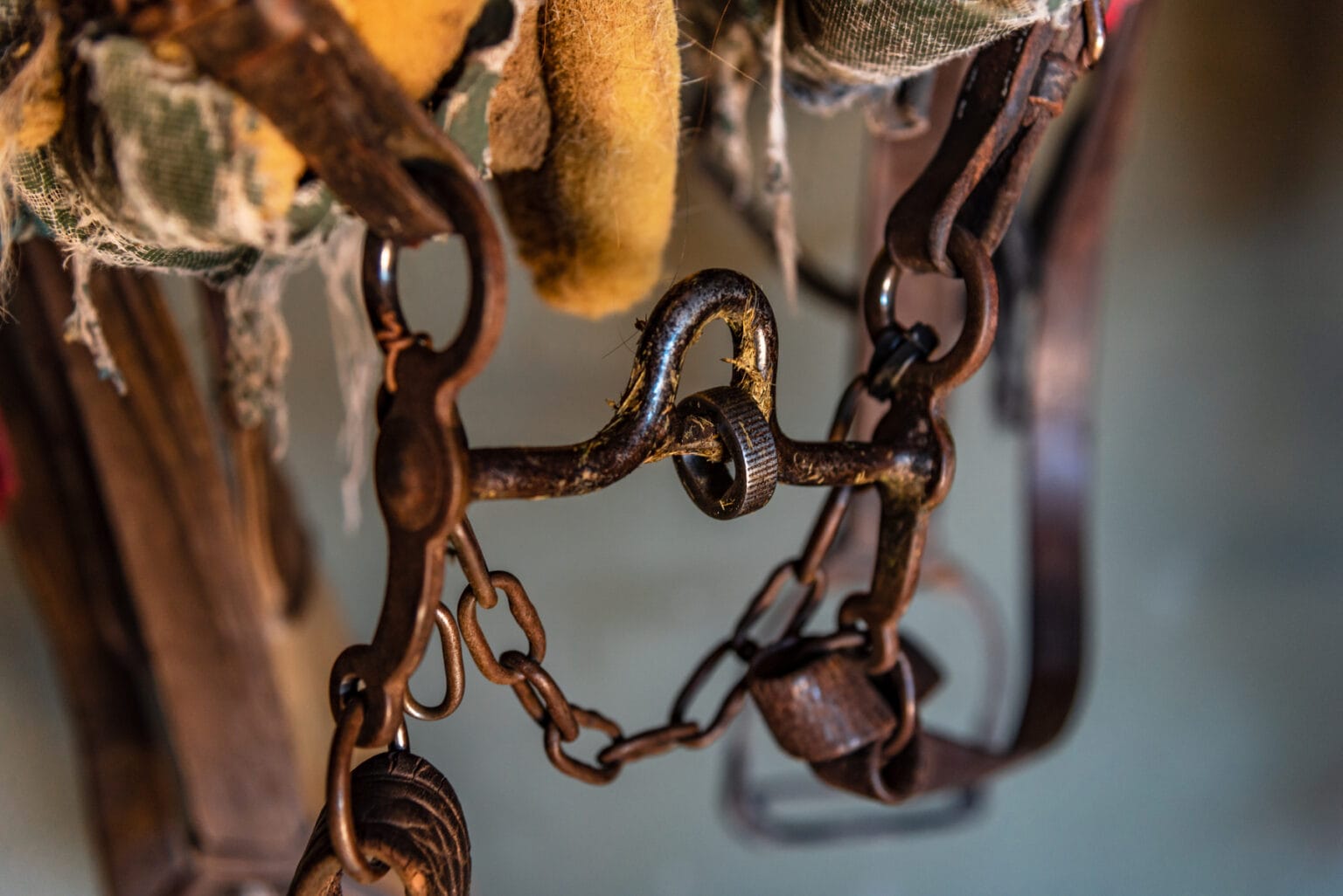 Antique Horse Bits Identification & Values - Appraisal Guide