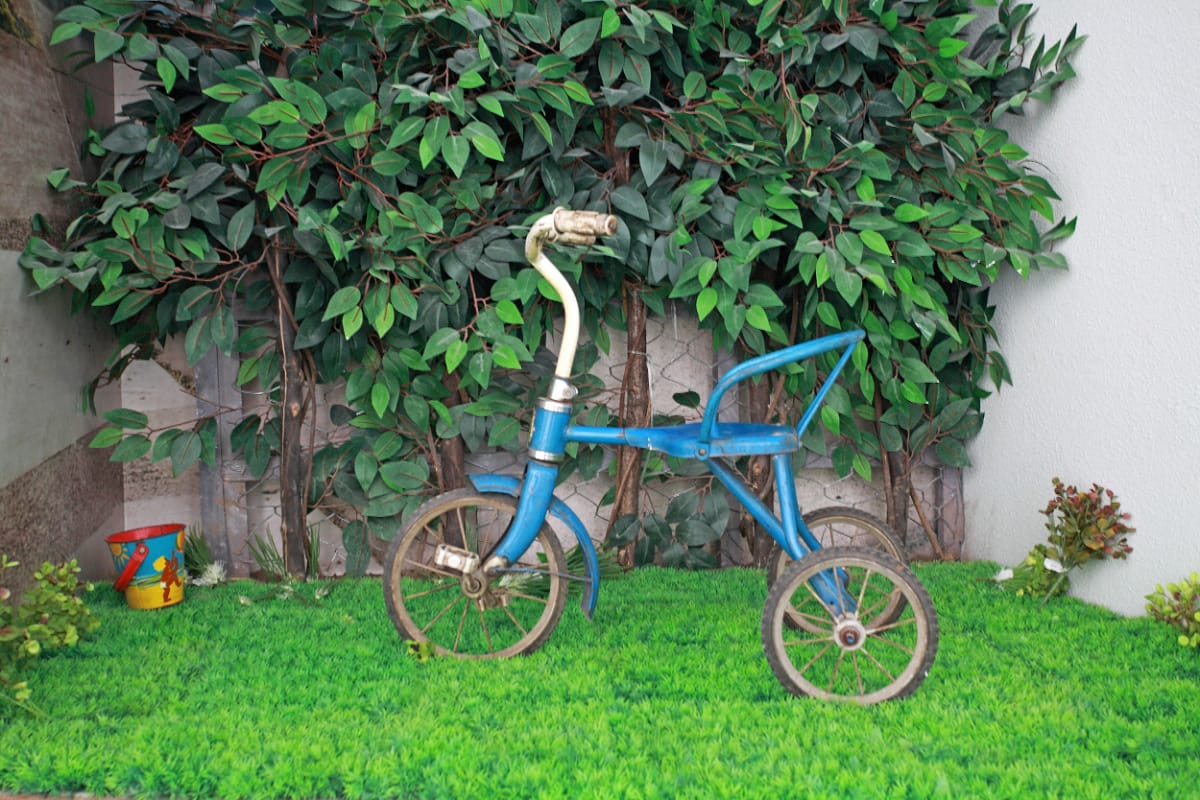How to Identify & Value Vintage Tricycle (With Rare Models)