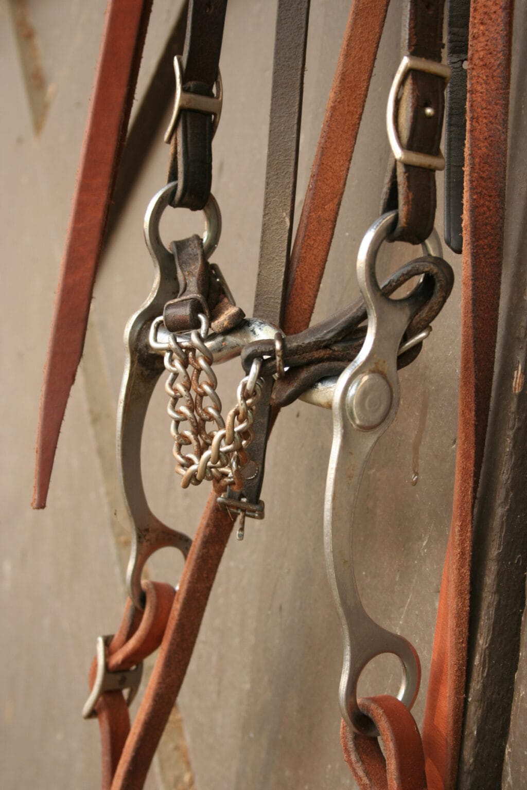 Antique Horse Bits Identification & Values - Appraisal Guide