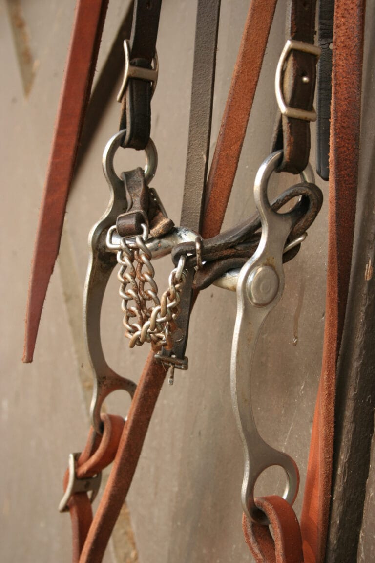 Antique Horse Bits Identification & Values - Appraisal Guide
