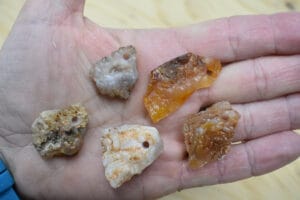 Valuable Beach Stones: Identification & Value Guide with Types