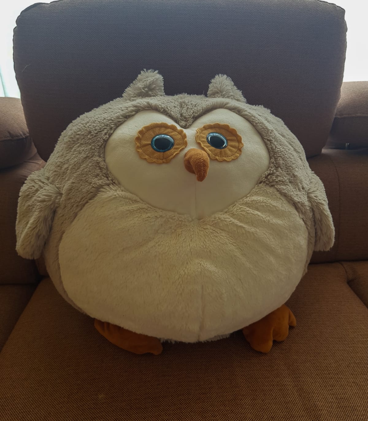 15 Rarest Squishmallows List, Features & Values (Guide 2023)