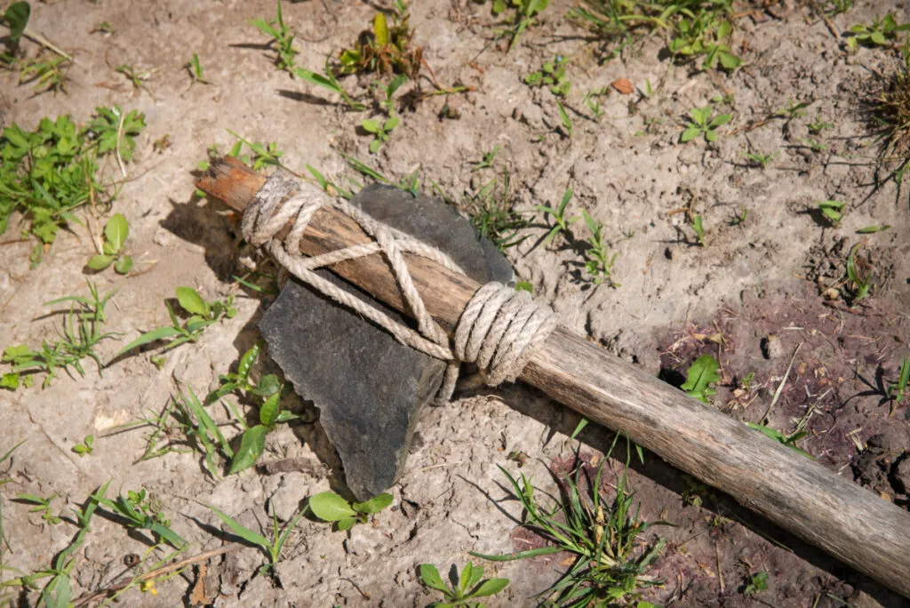 Antique Stone Axe Head Identification & Value (With Types)
