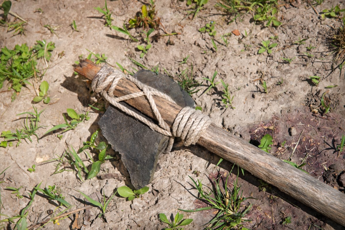 Antique Stone Axe Head Identification & Value (With Types)