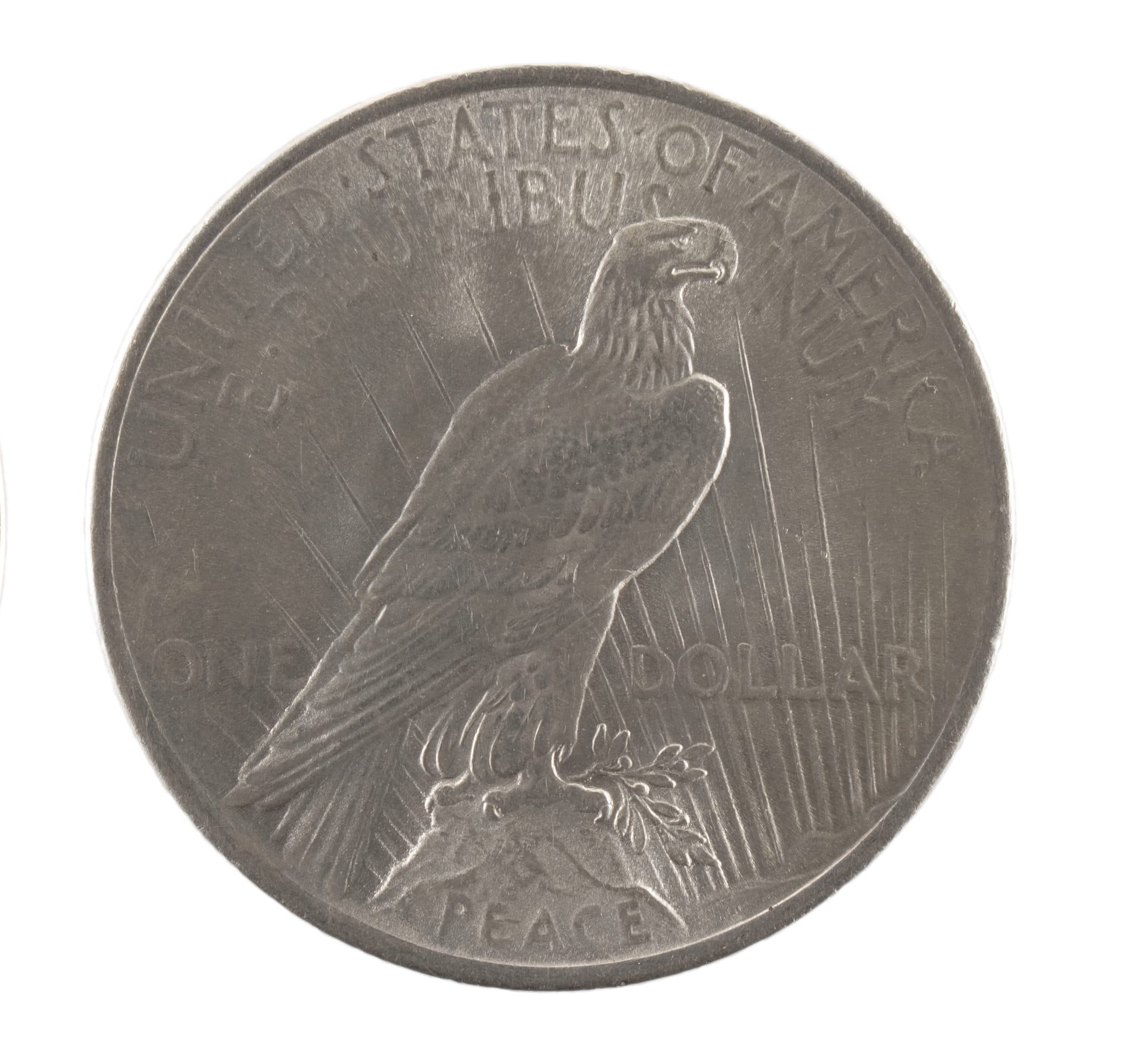 1923 Peace Silver Dollar Value (VAMs, Errors & More)