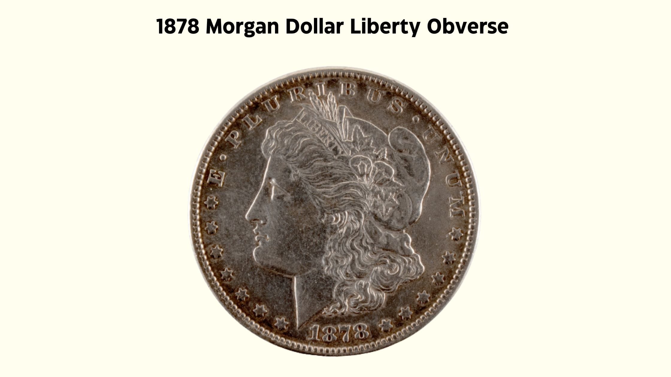 1878 Morgan Silver Dollar Value (Errors, VAMs & Mint Marks)