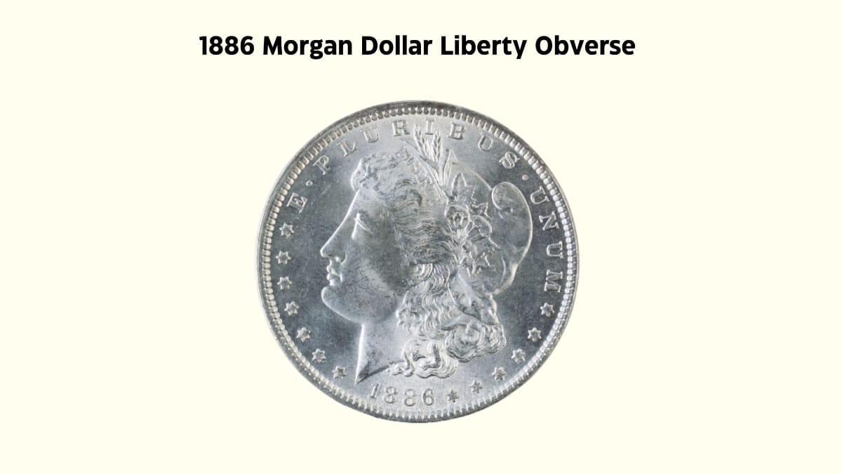 1886 Morgan Silver Dollar Value (Errors, VAMs, & S, O Mint Mar