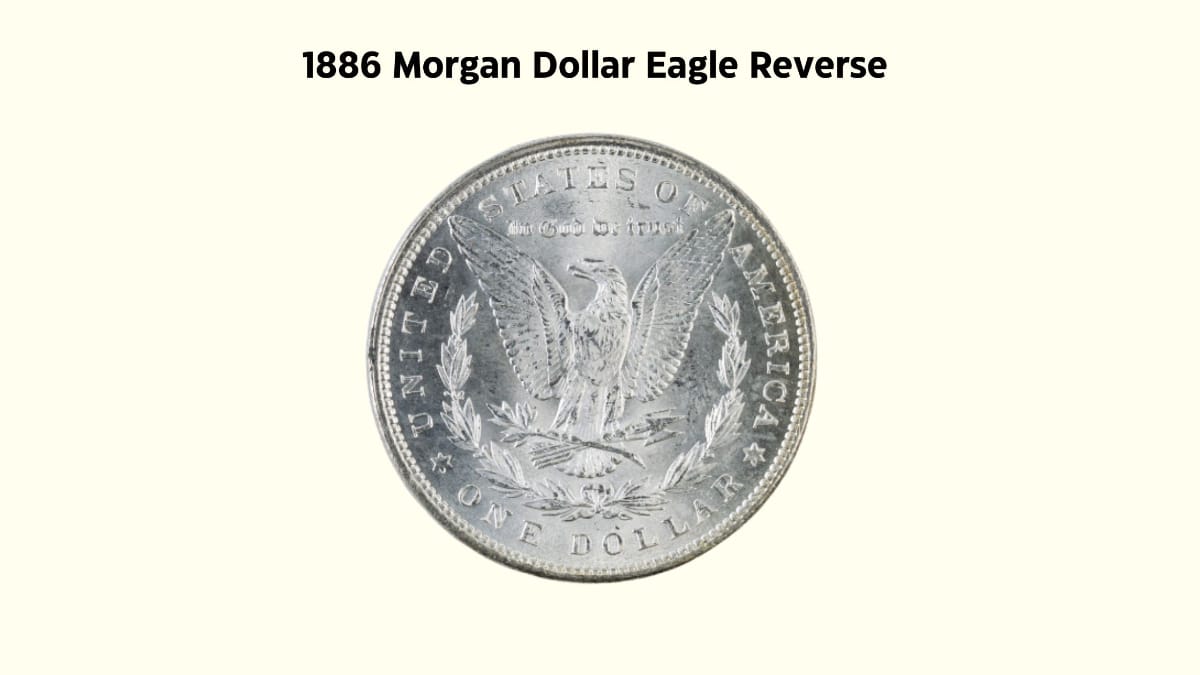 1886 Morgan Silver Dollar Value (Errors, VAMs, & S, O Mint Mar