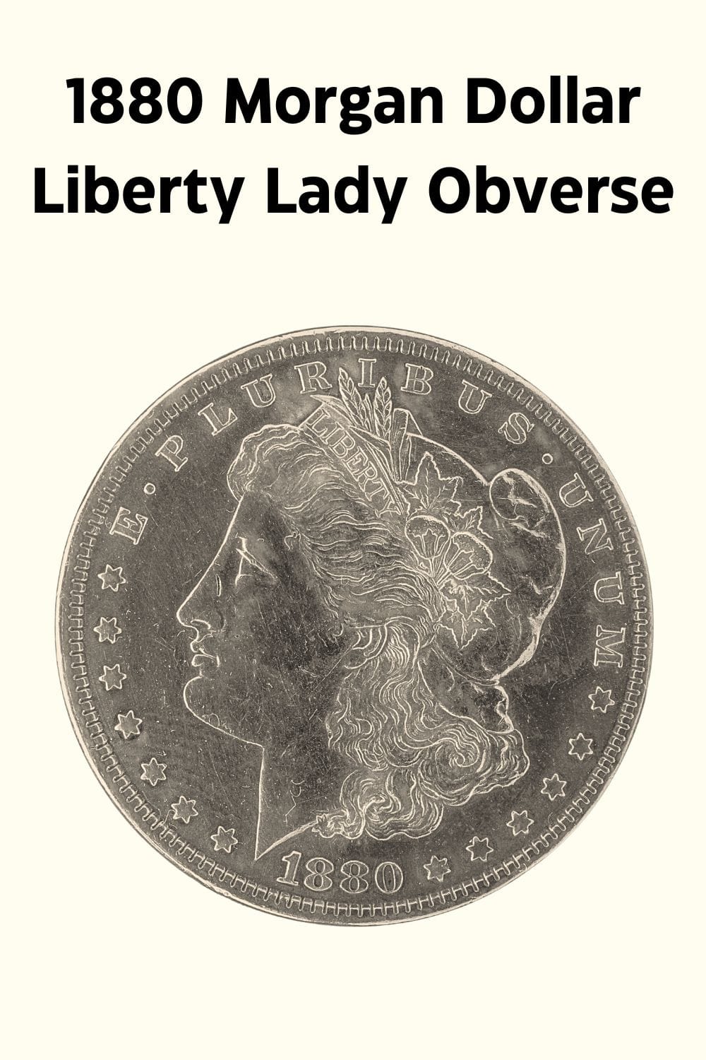 1880 Morgan Silver Dollar Value (Mint Marks & Rare Errors)