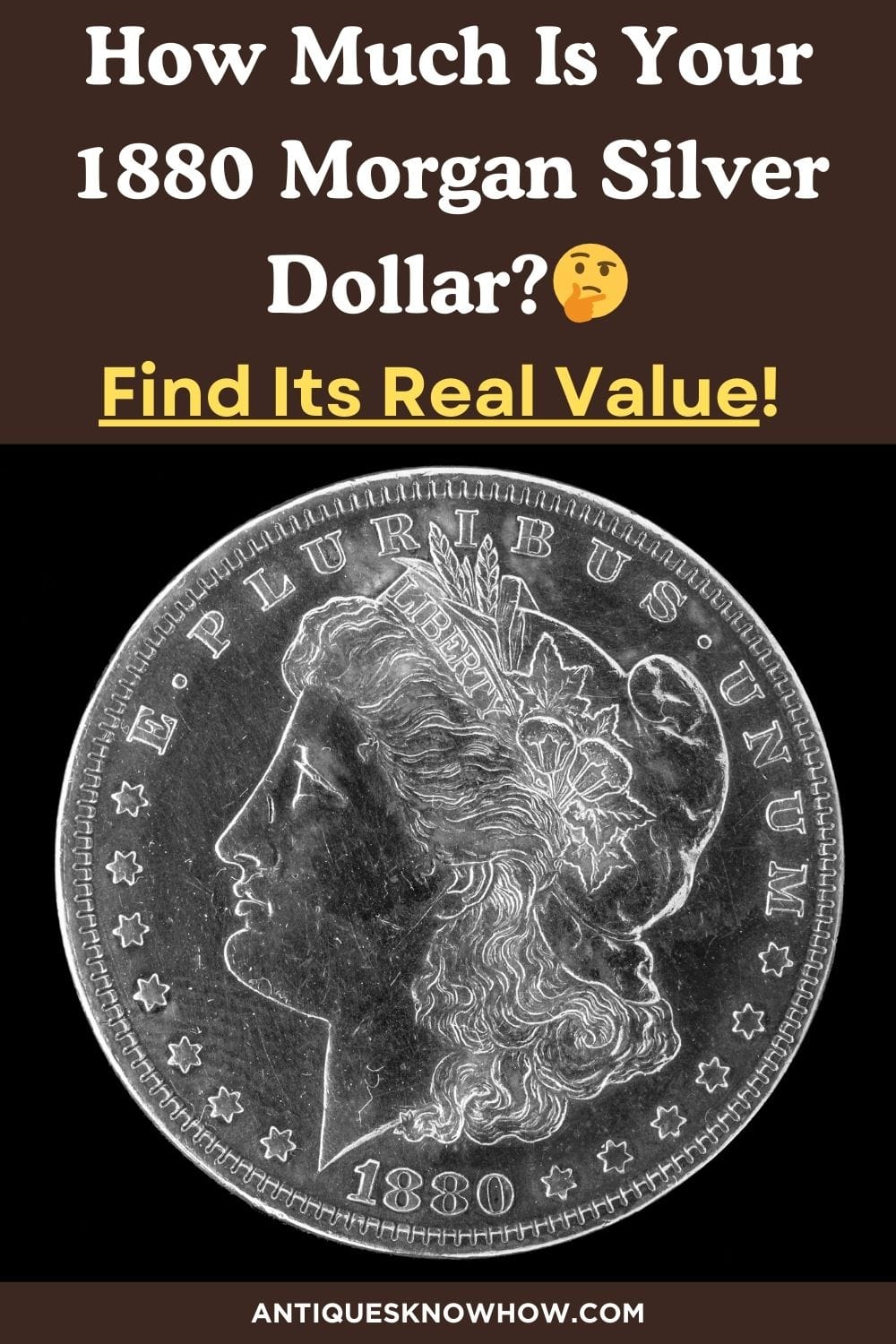 1880 Morgan Silver Dollar Value (Mint Marks & Rare Errors)