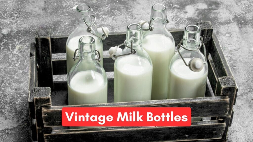 Old Vintage Milk Bottles Worth Money (With Identification Tips)