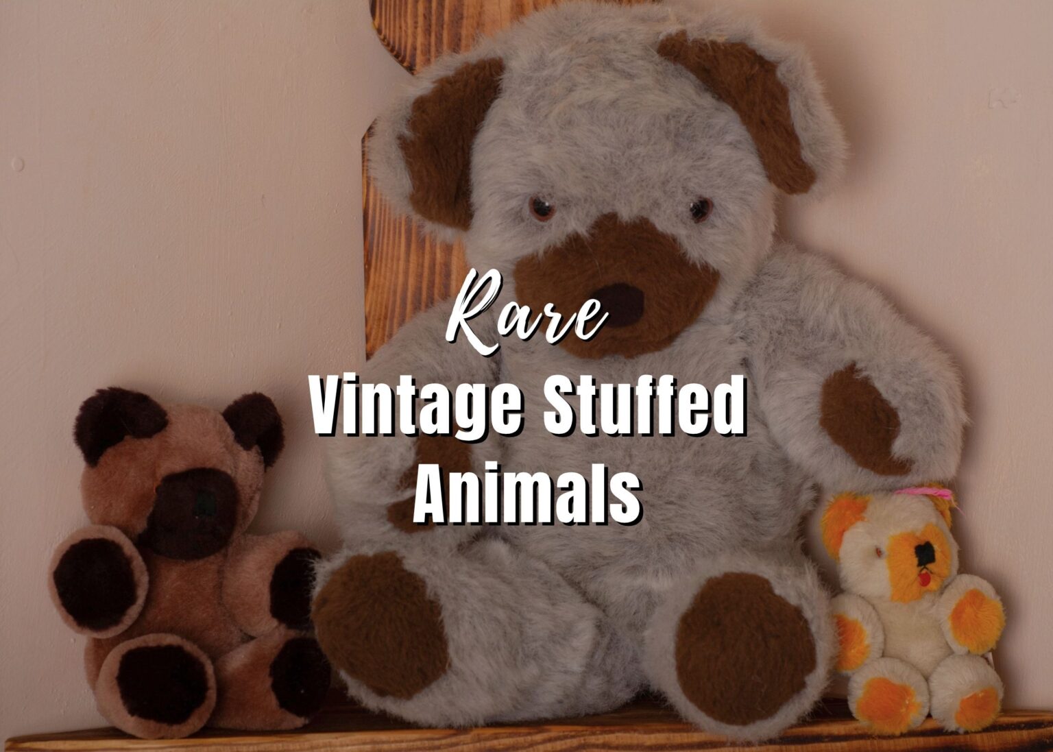 Rare Vintage Stuffed Animals Worth Money: Steiff, Gund & More (9 Finds)
